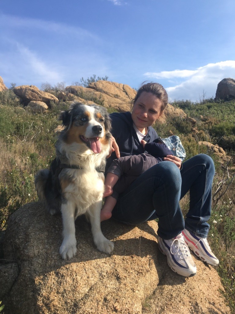 Accueil - Elevage Du Domaine Du Chien Bleu - Eleveur de chiens Berger ...